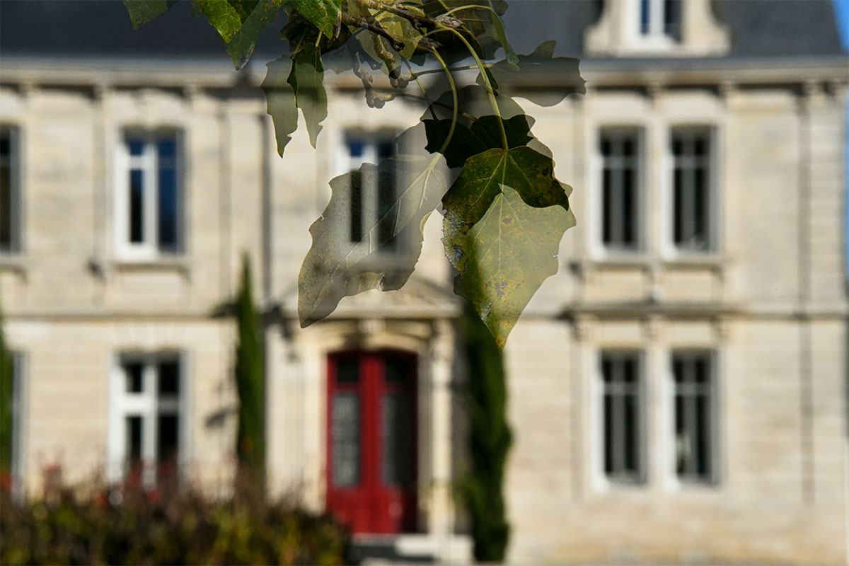 Château Laroze – Grand Cercle des Vins de Bordeaux