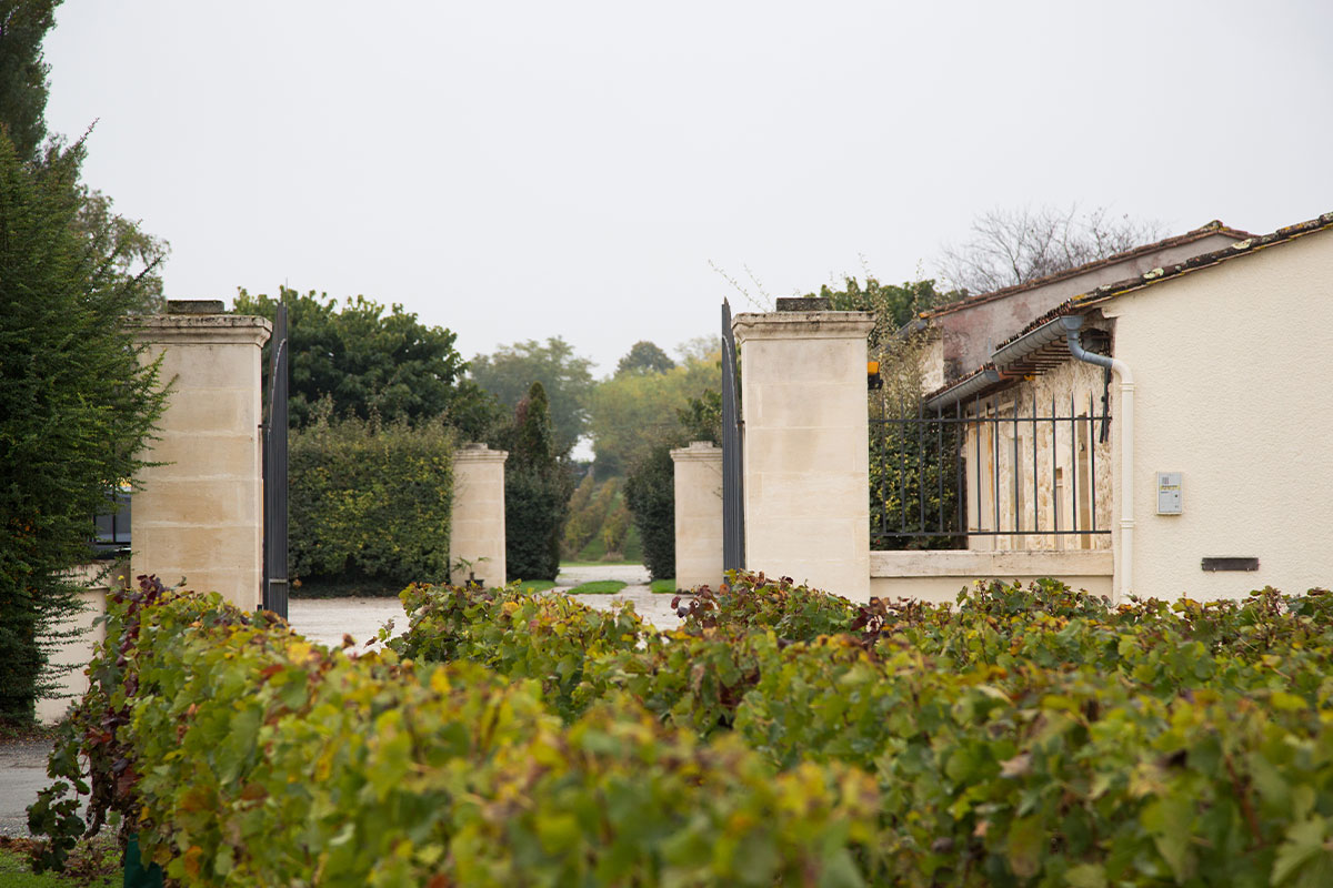 Chateau Lestage Simon – Grand Cercle des Vins de Bordeaux